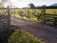 Rural and Agriculture - Sidekick